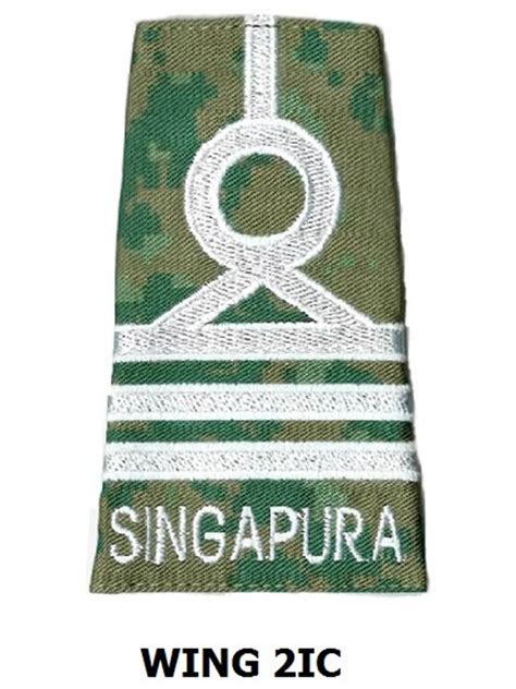 No 4 Cadet Pro Term Appointment Ranks Army 1517 3b Soldiertalk