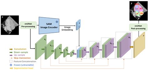 Nnsam Plug And Play Segment Anything Model Improves