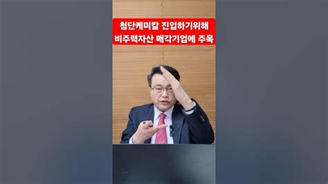첨단케미칼에너지기업으로 변신하기위해 비주력자산을 매각하는 집중기업에 주목하자 롯데케미칼 효성 매각뉴스기사분석 첨단으로 이미