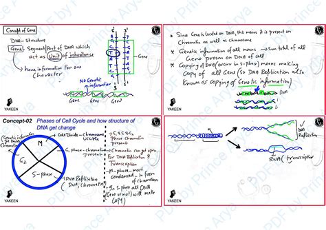 Solution Principle Of Inheritance And Variation Notes Tarun Sir