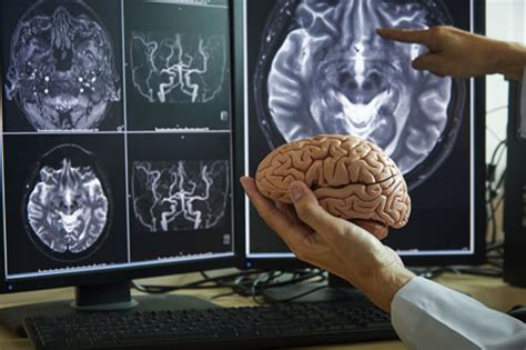 Science Based Strategies To Support Your Brain Health Oasis Everywhere Store