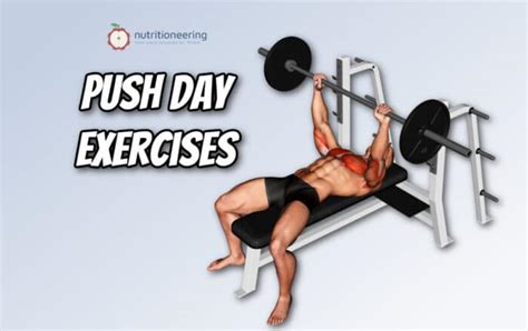 Pt Shares Top 10 Dumbbell Trap Exercises For A Thick Upper Back