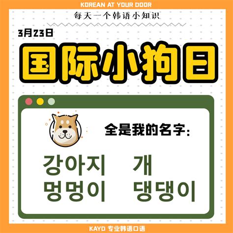 国际小狗日 韩语科普狗的4种韩语表达 哔哩哔哩