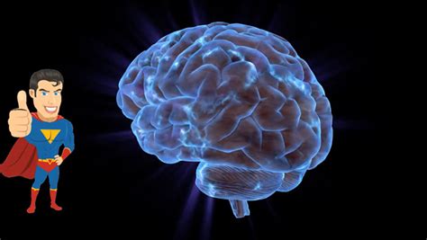 Super Plasticity How Our Superhero Brains Mold Themselves