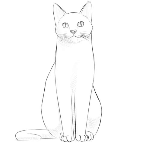 How To Draw Cat Sitting Side View