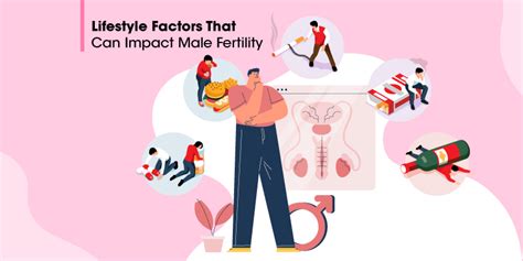 Lifestyle Impact On Male Fertility
