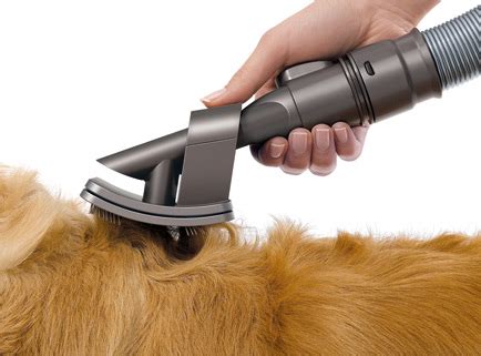 Насадка для вычесывания животных Dyson Groom Tool. Цена, купить Насадка ...