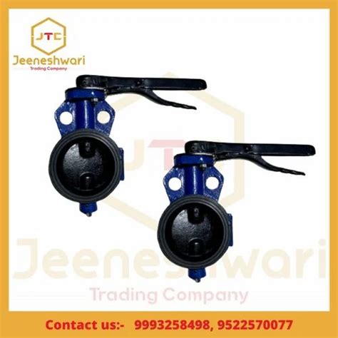 CI Butterfly Valve At Rs 500 New Siyaganj Market Indore ID