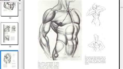 El Dibujo De La Figura A Tu Alcance Pdf YouTube