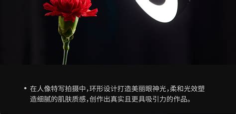 Godox 神牛 Ring72 Macro Led Ring Light 微距led環形燈