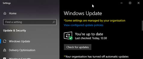 error when installing latest rhino 8 wip c minimum runtim