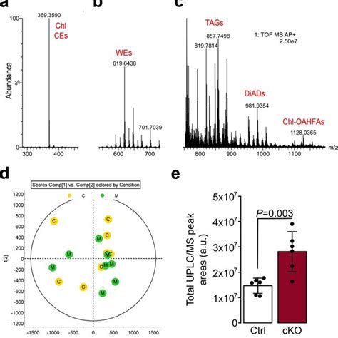 Reverse Phase Liquid Chromatography High Resolution Time Of Flight