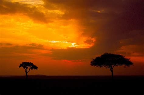 African Sunset
