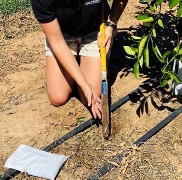 Soil Survey Irrigating Agriculture Irrigating Agriculture