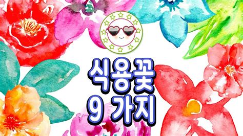 식용꽃 종류 9가지 카모마일 팬지 히비스커스 민들레 호박꽃 쇠비름 라벤더 한련화 보리지 Youtube