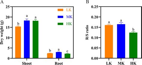 Response Of In Situ Root Phenotypes To Potassium Stress In Cotton Peerj