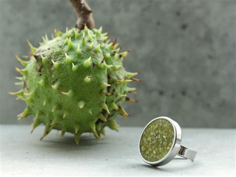 Фрукт с шипами 90 фото НА ДАЧЕ ФОТО