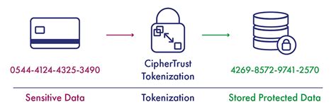 Ciphertrust Tokenization Solution Thales