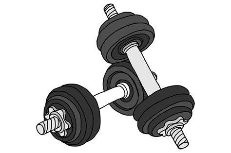 Barbells Dumbbells Gym Vector Graphic By Arief Sapta Adjie · Creative
