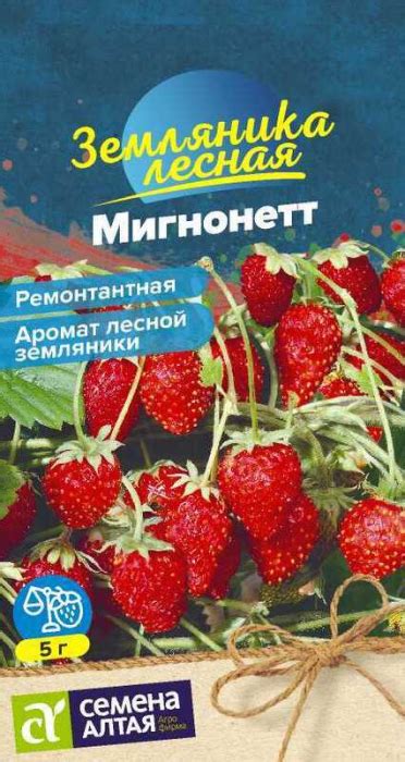 Купить семена Земляника Мигнонетт ремонтантная (5 шт) - Семена Алтая с ...