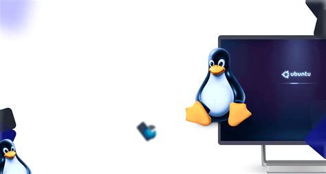 Linux Proxy Server Buy At Best Price Proxymarket