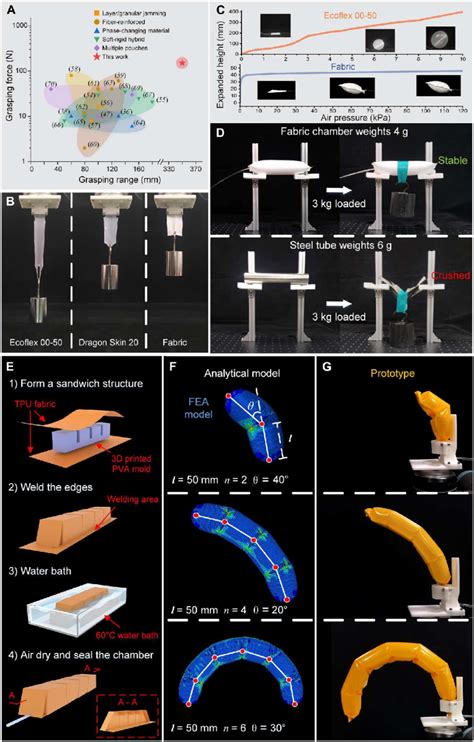 Construction Of The Soft Pneumatic Actuators Using Soft Lightweight Download Scientific