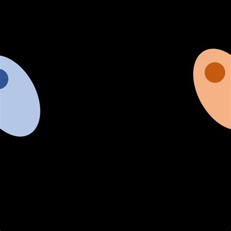 Schematic Of The Two Cell Type Compartmental Ode Model In Equations 1 Download Scientific