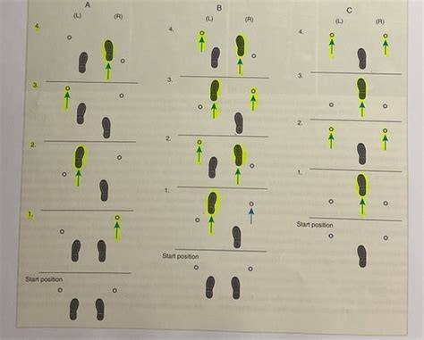 Gait Pattern Pictures Flashcards Quizlet