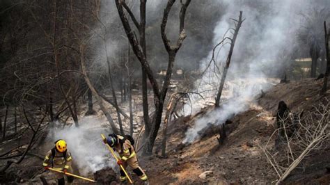 El Cambio Climático No Fue Determinante En Los Incendios En Chile