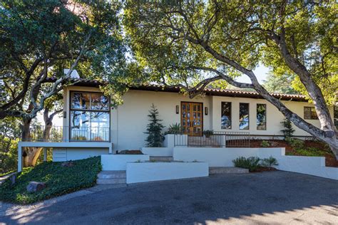 24871 Olive Tree