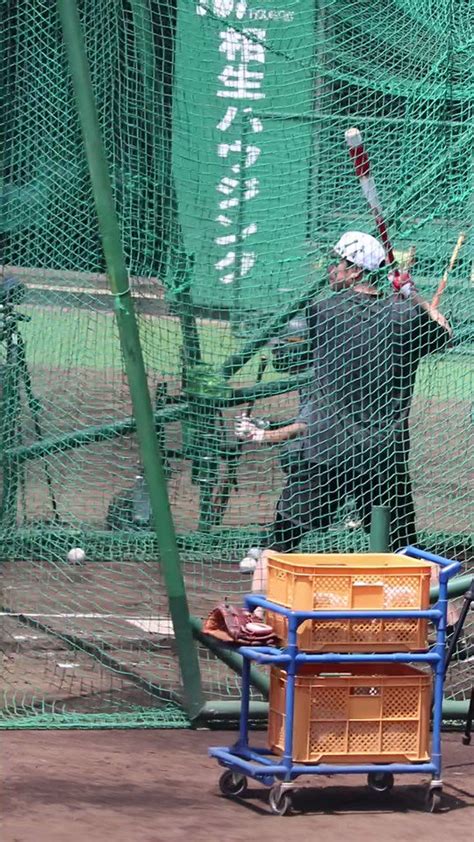 小早川宗一郎【日刊スポーツ巨人担当】 On Twitter 【 日刊ファーム情報 】 右大腿二頭筋長頭肉離れでファーム調整中の 坂本勇人