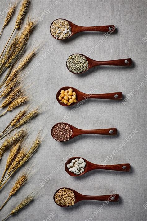 곡식 식물 날것 농작물 유기농 보리 보리이삭 병아리콩 기장 곡식 강낭콩 귀리작물 곡식 이미지 Jv12108567 게티이미지뱅크