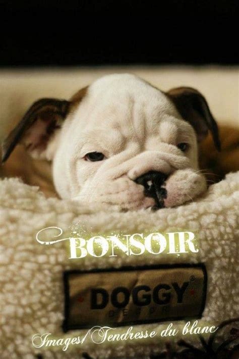 Bonsoir bien au chaud au chaud images gratuites bonne soirée neige