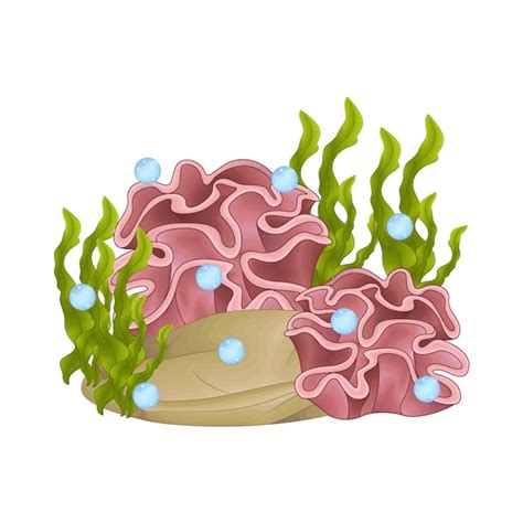 Premium Vector Illustration Of Coral