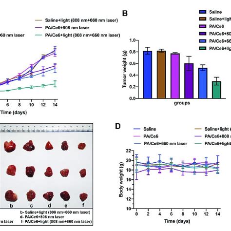 A Mouse Tumor Volume In Different Groups B Mouse Tumor Weight In