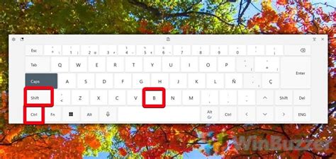 How To Show Or Hide The Bookmark Bar In Chrome Edge And Firefox