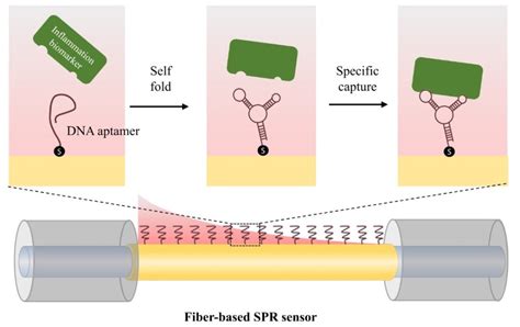 A Fiber Based Spr Aptasensor For The In Vitro Detection Of Inflammation Biomarkers