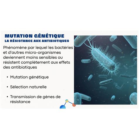 La Diversité Génétique Powerpoint Et Contenu