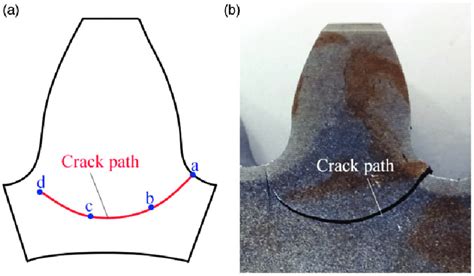 Comparison Of Crack Path Obtained From Different Methods A Download Scientific Diagram