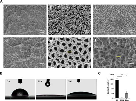 Surface Characterization Of Titanium Samples A Sem Images Showing Download Scientific