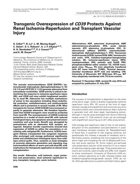 Pdf Transgenic Overexpression Of Cd39 Protects Against Renal Ischemia Pdf Transgenic Overexpression Of Cd39 Protects Against Renal Ischemia