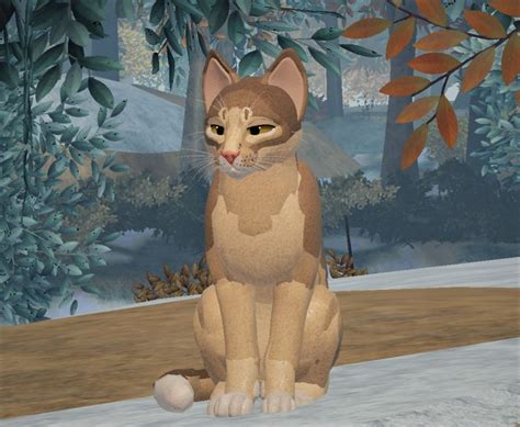 Brown Simple Shorthair Wcue Morph In 2023 Warrior Cats Art Warrior Cats Fan Art Warrior Cats