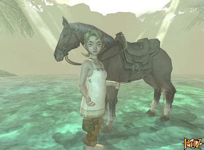 Captures d écran de Twilight Princess 3 Le Palais de Zelda