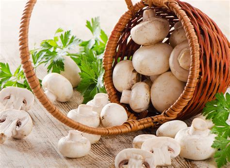 Mushrooms Wicker Basket HD Wallpaper Rare Gallery