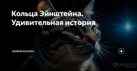 Кольца Эйнштейна Удивительная история Живой Космос Дзен