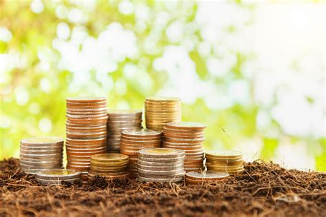 돈 동전 개념 나무 돈 개념을 절약에 태양 빛으로 성장 새싹 금융에 대한 스톡 사진 및 기타 이미지 금융 더미 동전 Istock