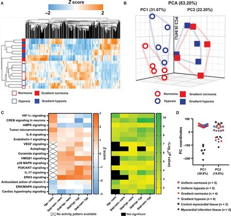 PCA And Pathway Analysis Of The RNA Seq Data From The Engineered