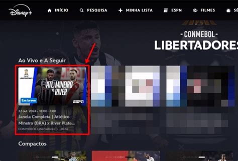 Atlético Mg X River Plate Ao Vivo Horário E Onde Assistir à Semifinal