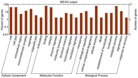 Go Classification Of 92 R9308 Biased Transcripts Download Scientific