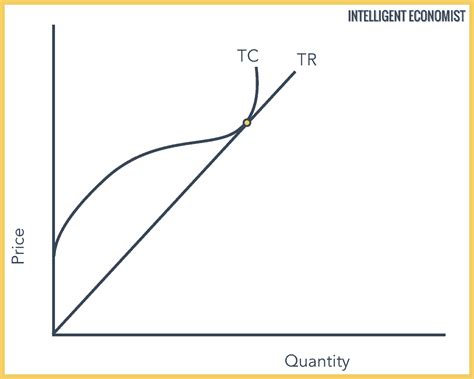 Perfect Competition Intelligent Economist